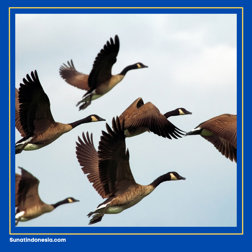 Cara Sunat Massal, 8 Hal yang Perlu Orang Tua Ketahui